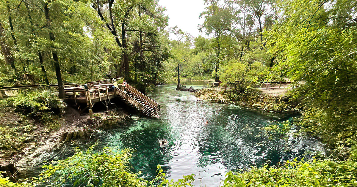 10 Hidden Springs In Florida That Are Almost Too Beautiful To Be Real