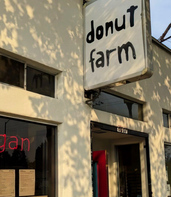 best california apple fritters ftr