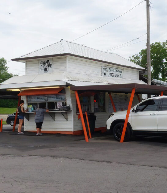 best french fries missouri ftr