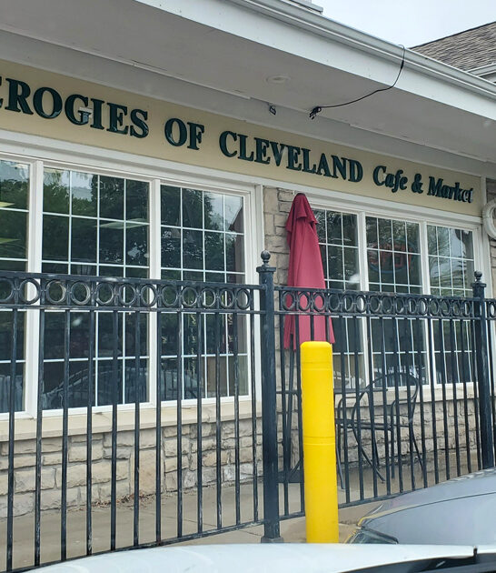 best handmade pierogies ohio ftr