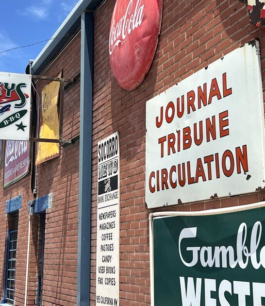 best new mexico fries ftr