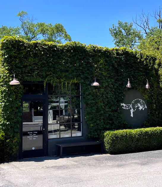 best ohio cinnamon roll ftr