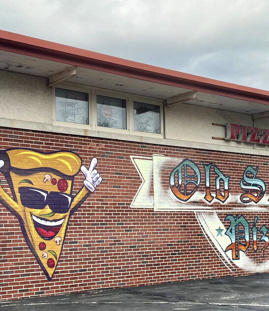 best pizza restaurants illinois ftr