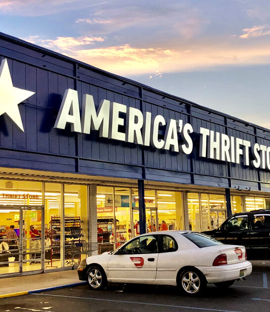 big thrift stores alabama ftr