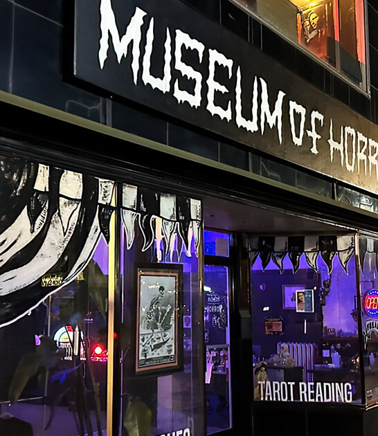 bizarre museum michigan fans ftr