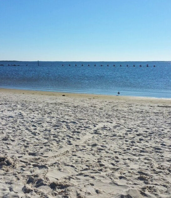 breathtaking family beach florida ftr