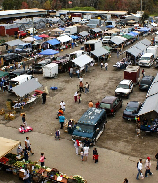 browse flea markets florida ftr