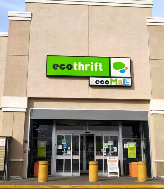 california budget shopping destination ftr