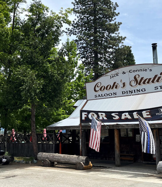 california classic sandwich stop ftr