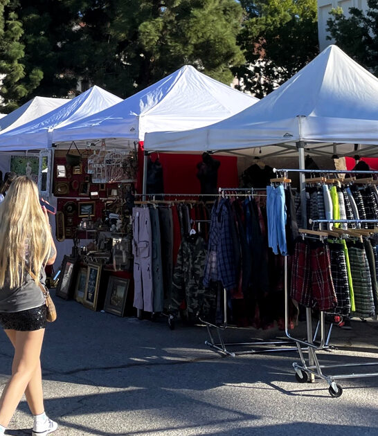 california deals flea market ftr