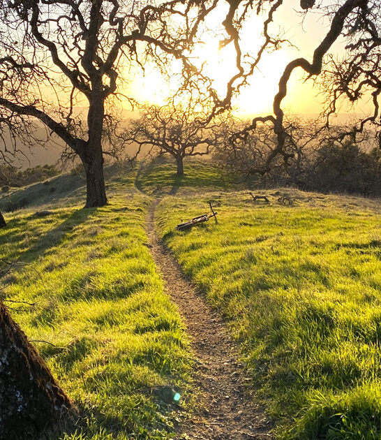 california dreamy state park ftr