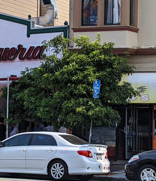 california legendary best taqueria ftr