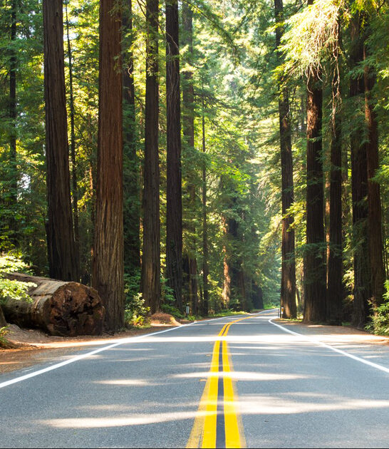 california nature drive experience ftr