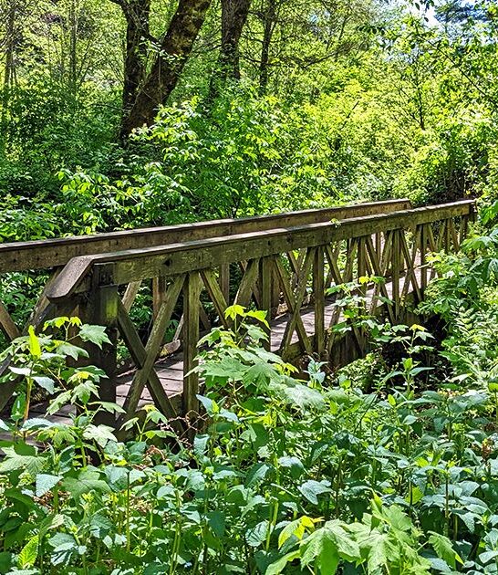 california scenic state park ftr
