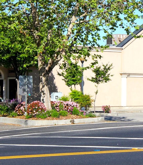 california steakhouse culinary traditions ftr
