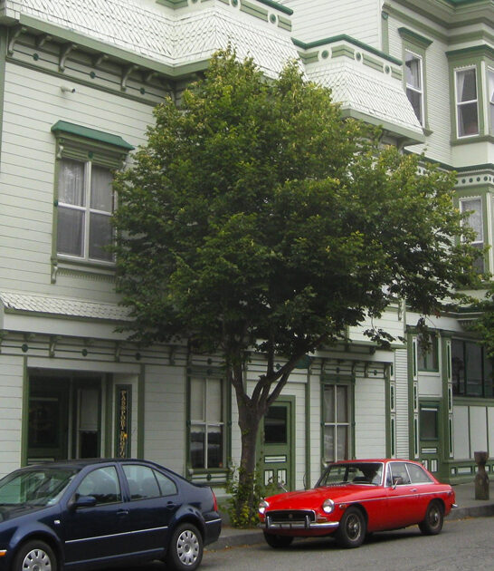 california town worth knowing ftr