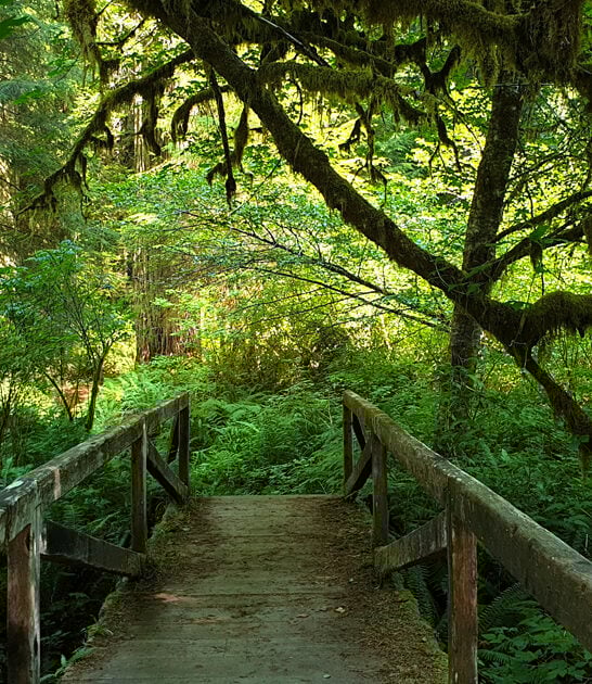 california underrated park experience ftr