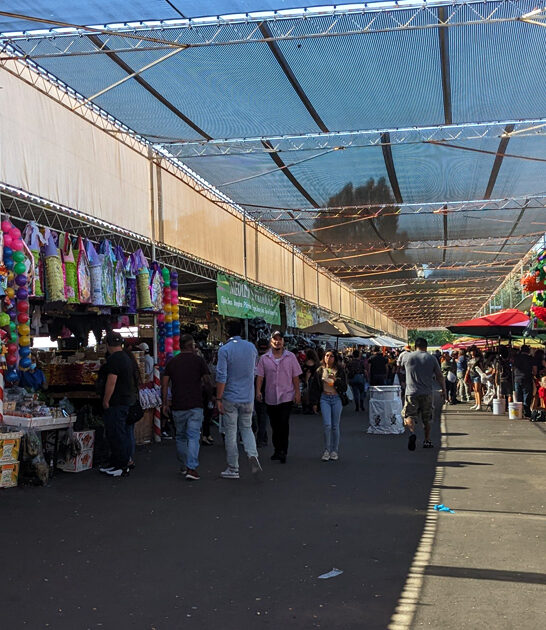 california vintage market experience ftr