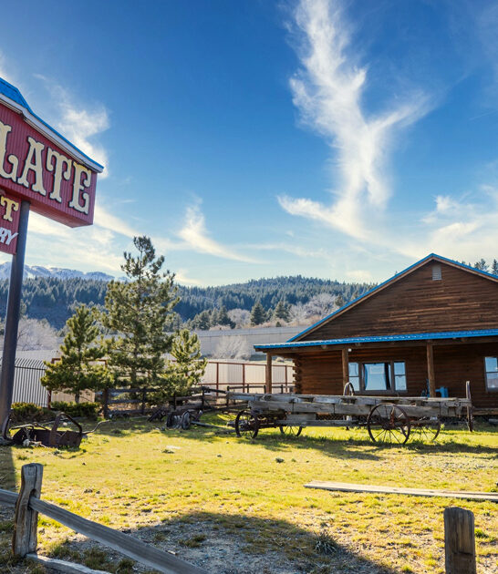 charming candy store nevada ftr