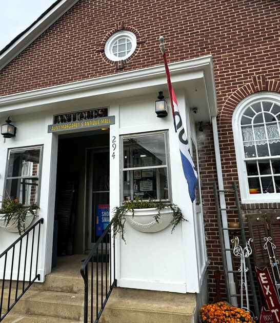 charming delaware collectibles store ftr
