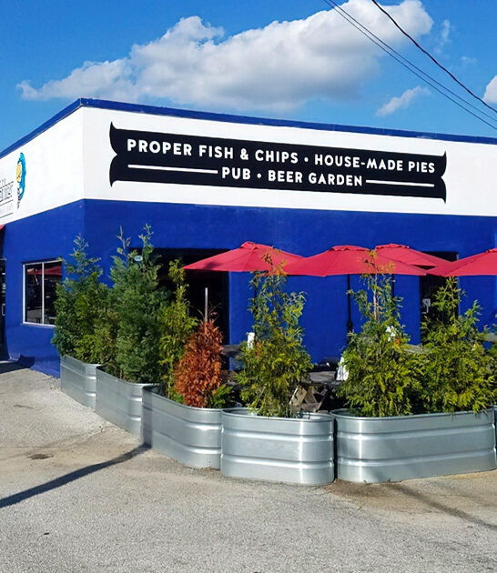 charming south carolina chips ftr