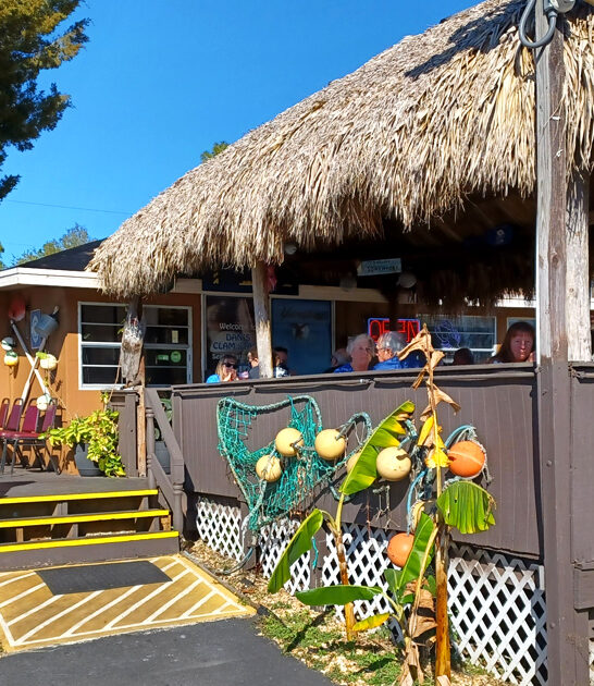 clam chowder florida seafood ftr