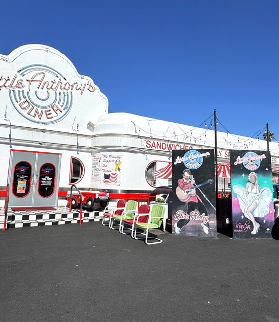 classic arizona meatloaf diner ftr