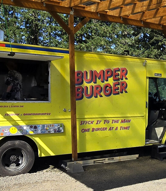 classic french fries oregon ftr