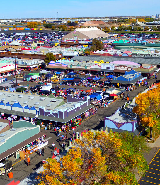 colorado massive flea market ftr