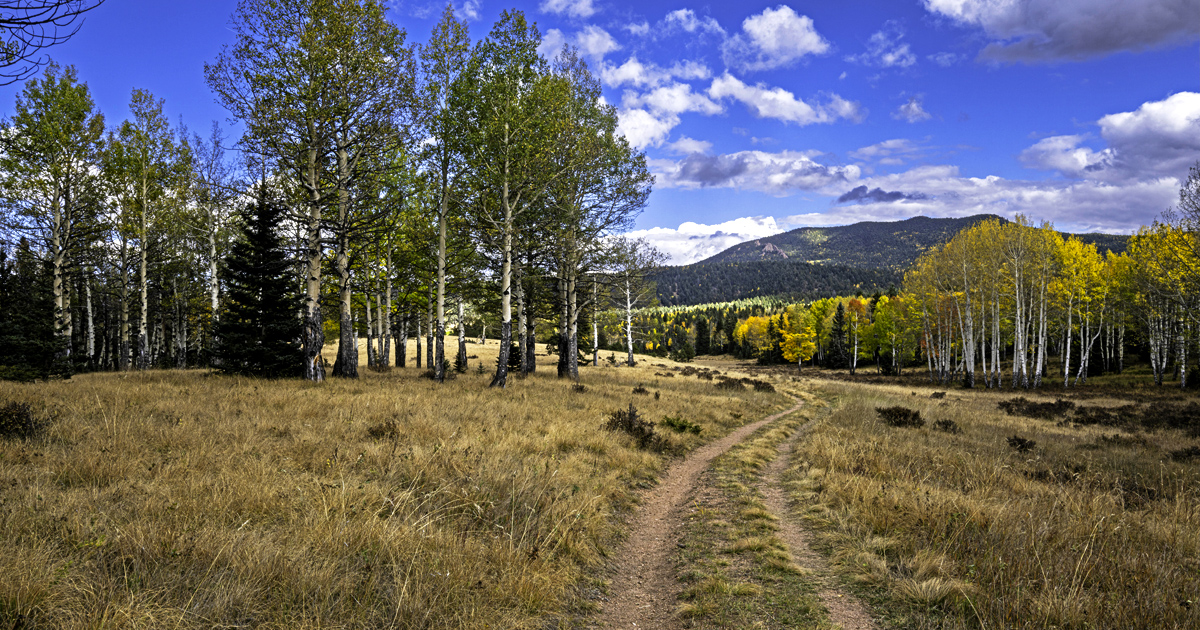 This Scenic State Park In Colorado Is The Perfect Place To Escape From ...