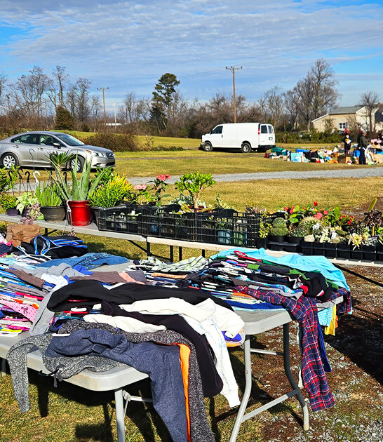 deals flea market virginia ftr