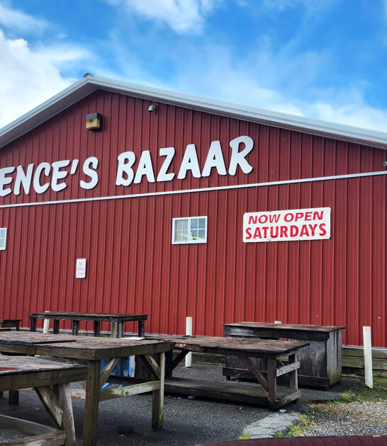 delaware affordable flea market ftr