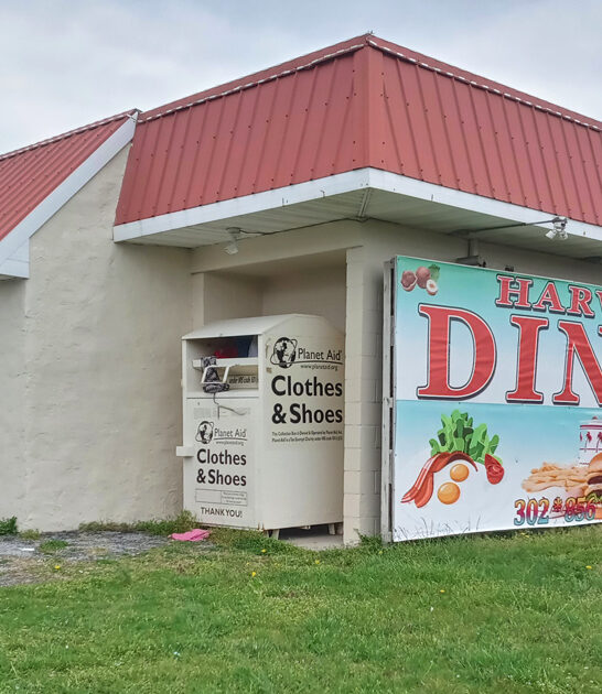 delaware delicious cream crab ftr