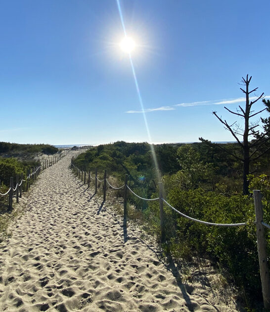 delaware hidden beach locals ftr