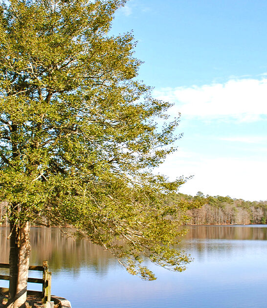 delaware park hiking adventure ftr