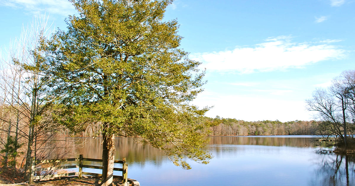 This Picturesque State Park In Delaware Is One Of The State's Best-Kept ...