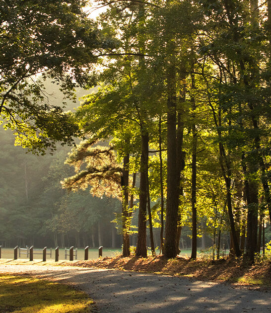 delaware park outdoor adventure ftr