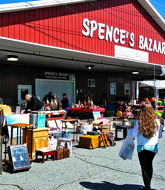 delaware treasure hunting market ftr