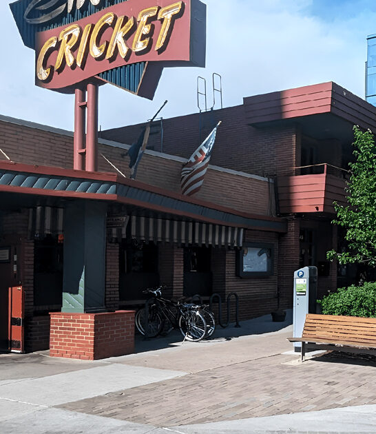 delicious french fries colorado ftr