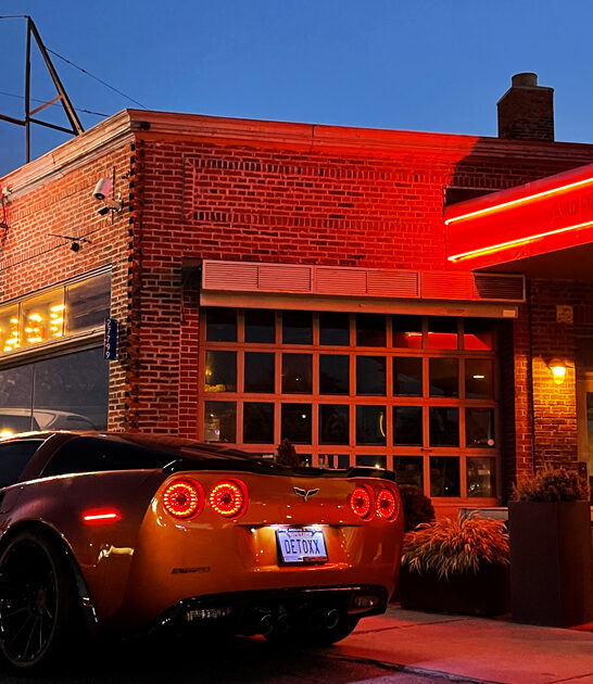 delicious french fries michigan ftr