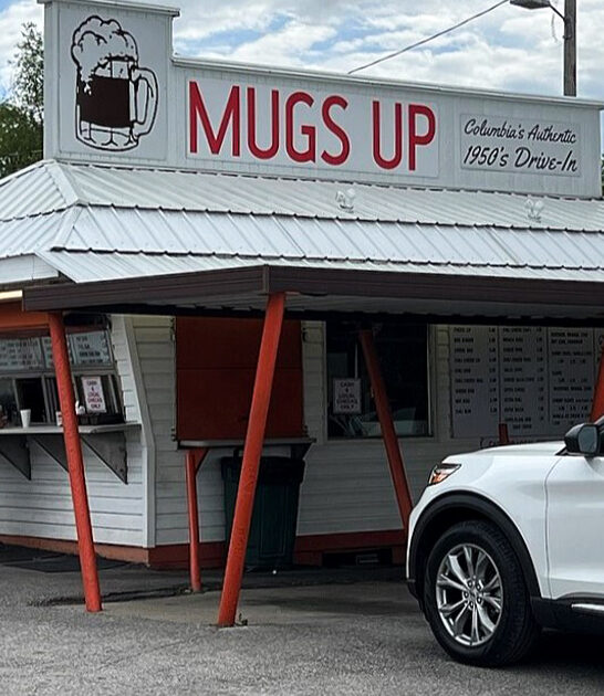 delicious french fries missouri ftr