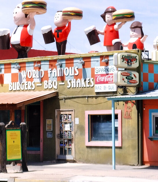 delicious fries new mexico ftr