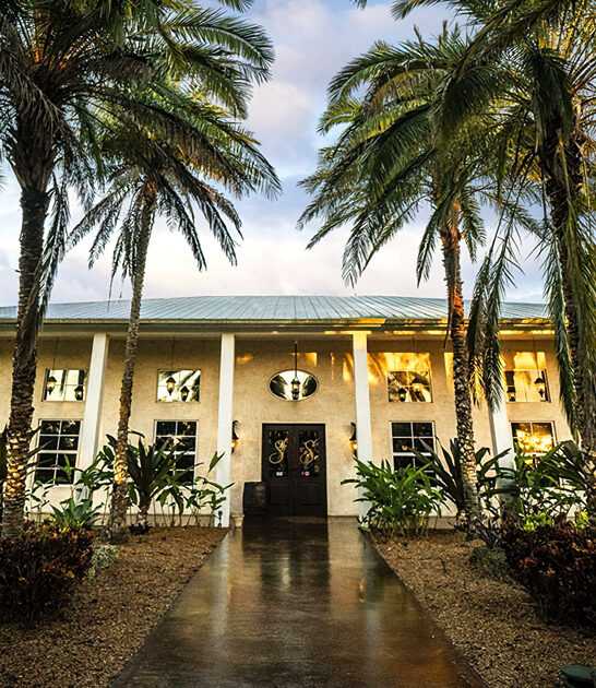 delicious fruit wines florida ftr