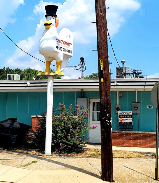 delicious gizzards restaurant illinois ftr