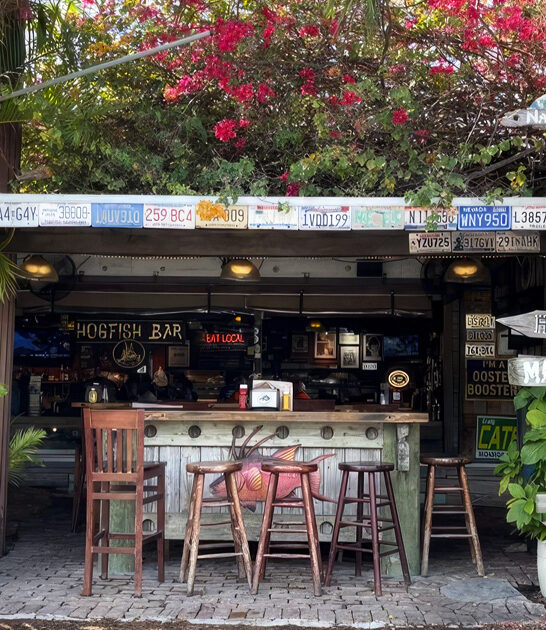 delicious great restaurants florida ftr