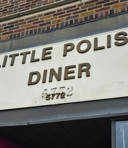 delicious polish diner ohio ftr