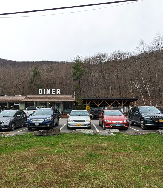 delicious skillets new york ftr