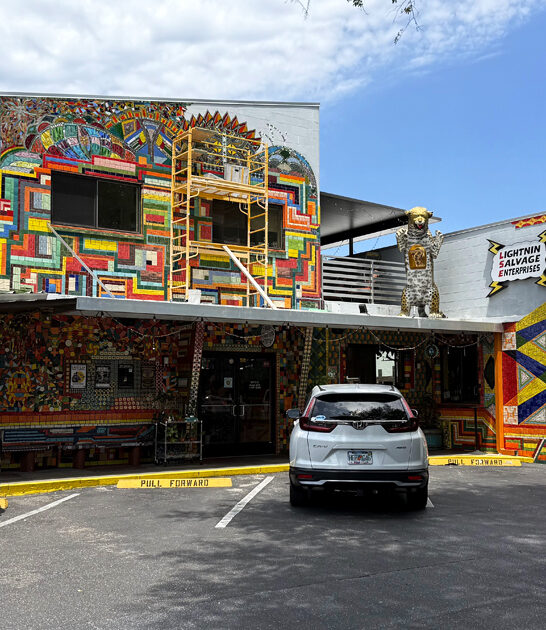 dish pizza restaurant florida ftr