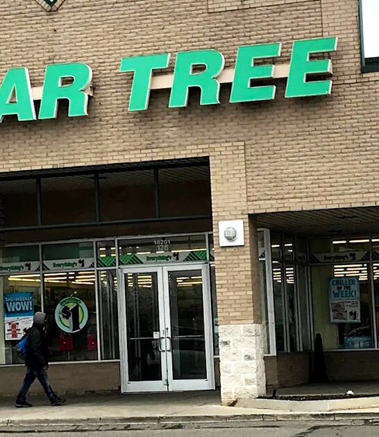 dream bargain store michigan ftr