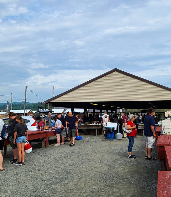 dream flea market pennsylvania ftr